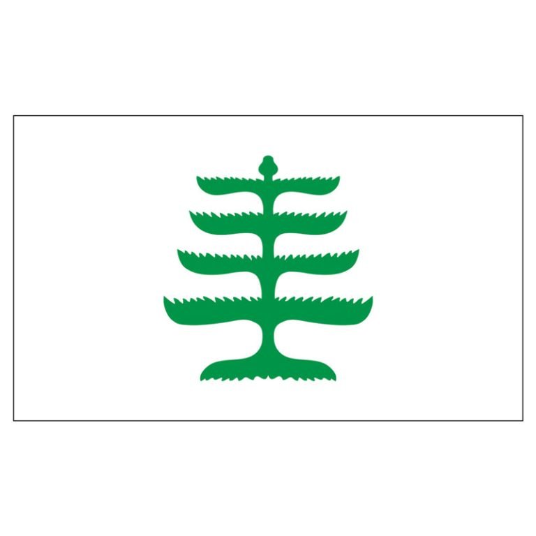 Pine Tree Historical US Flag - W.G.N Flag & Decorating Co